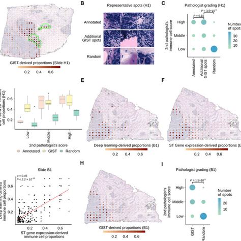 Tissue Image Derived Cell Type Compositional Estimates Can Be Leveraged Download Scientific