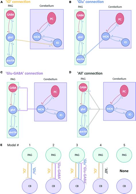 schematic representation of neural mass models for the cerebellum and