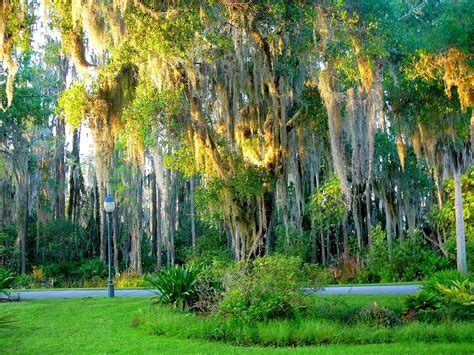 Wesley Chapel FL Best Places To Visit Tripadvisor
