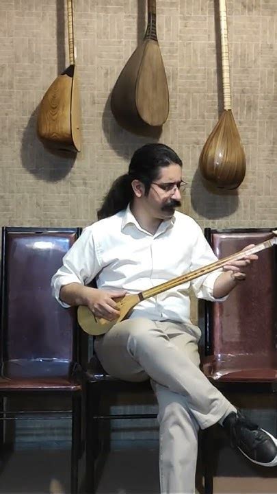 سه تار کاسه توت ساخت حقیر ،با نوازندگی دوست هنرمندم Hamedzoheiri حامد