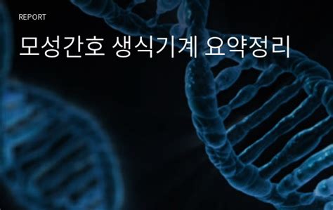 모성간호 생식기계 요약정리 레포트