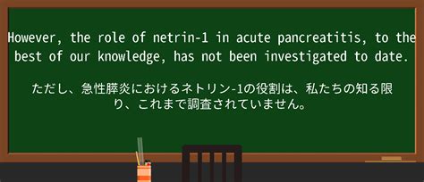 【英単語】netrinを徹底解説！意味、使い方、例文、読み方 おもしろい英文法