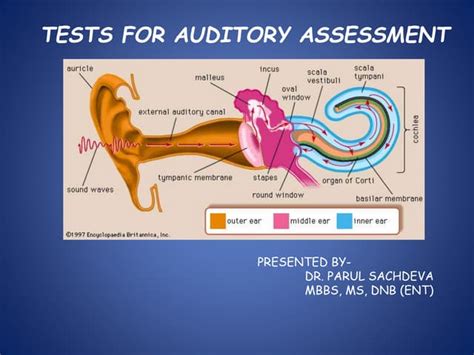 Tests For Auditory Assessment Pptx