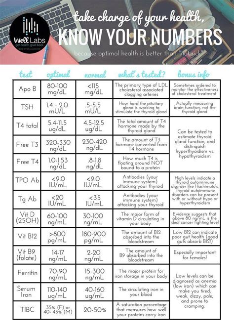Know Your Numbers What The Lab Values From Your Doctor Actually Mean Artofit
