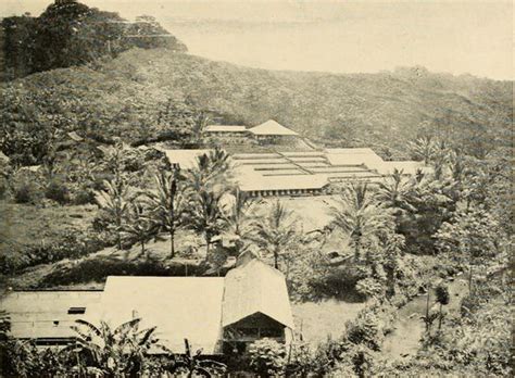 Surprising Facts About Coffee Cheapism Com