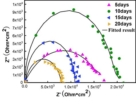 Nyquist Plots Of Immersion Samples In Sbf Download Scientific Diagram