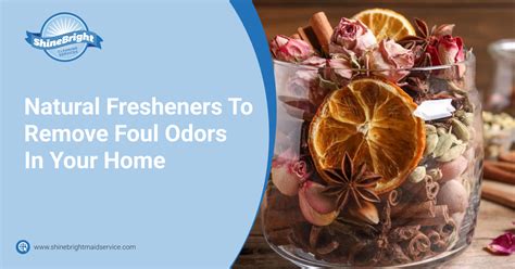 Natural Fresheners To Remove Foul Odors In Your Home Shine Bright