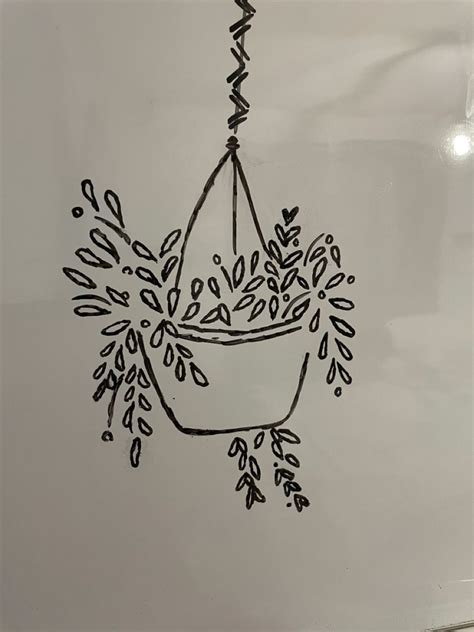 Pin On Plant Doodle White Board Drawings Dry Erase Board Art