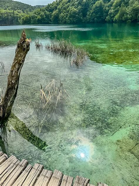 Visiter Les Lacs De Plitvice Croatie Guide Pratique 2024