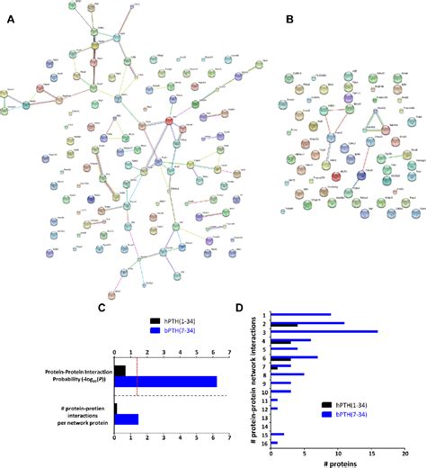 network interaction predictions for superconserved transcript datasets