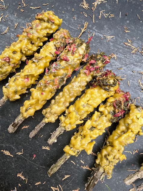 Mullein Candle Torch Etsy