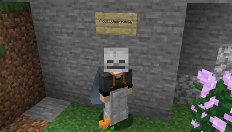 How To Change Minecraft Username DiamondLobby