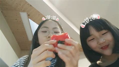 토마토 Youtube