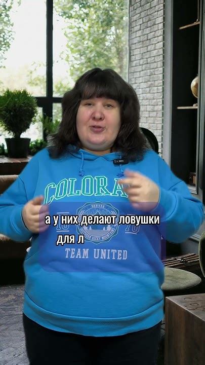 ЕДЯТ летучих мышей Youtube