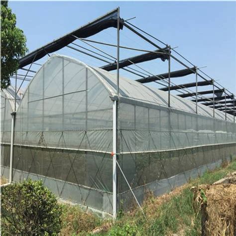 Greenhouse Plastic 150 Micron Film With Automated Fertilization System Multi Span Greenhouse