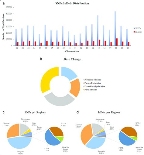 Summary Of The Major Modifications Caused By Snps And Indels A Snps
