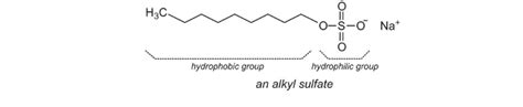 Detergent Structure