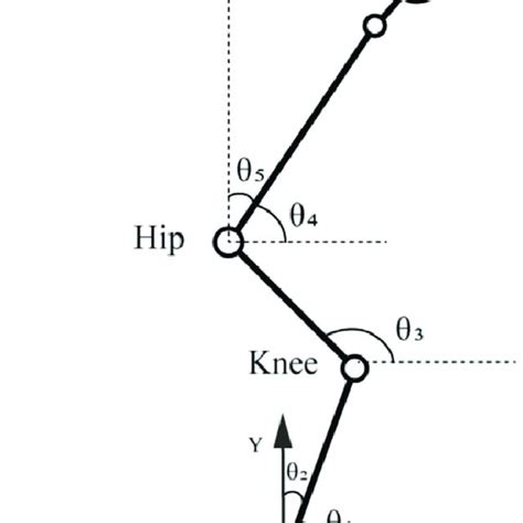 Link Segment Model In The Sagittal Plane U 1 Ankle Angle U 2 Ankle