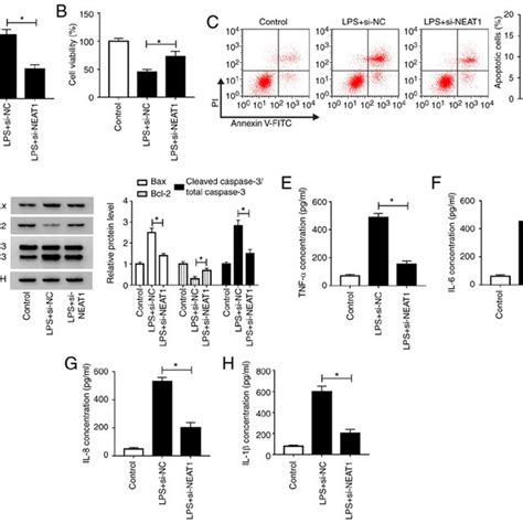 LPS Induces H9c2 Cell Damage H9c2 Cells Were Treated With 0 5 And 10