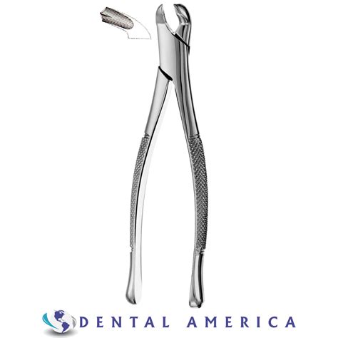 Forceps N° 17 Dental America Distribuidora De Equipos Odontológicos