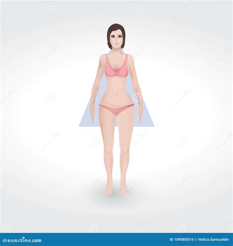 Pear Body Shape Vector Illustration Decorative Design Stock Vector Illustration Of Stand