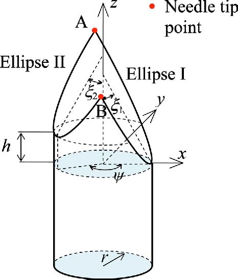Figure 6 From Modeling Of The Plane Needle Cutting Edge Rake And Inclination Angles For Biopsy