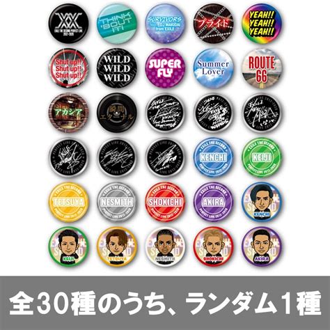 Exile The Second Perfect Live 缶バッジ全30種のうち、ランダム1種 Exile The Second