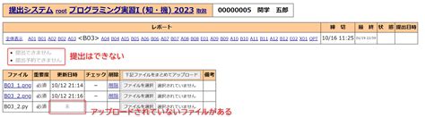 PROG1 Report System