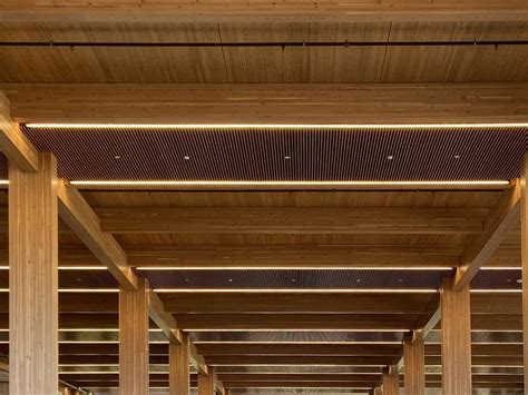 Mass Timber Office Sera Architects