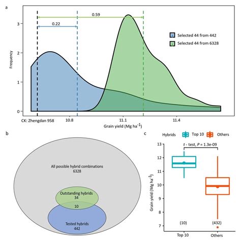 Grain Yield Improvement By Genomic Selection A The Distribution Of