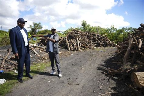 Two More Illegal Coal Production Sites Shut Down News