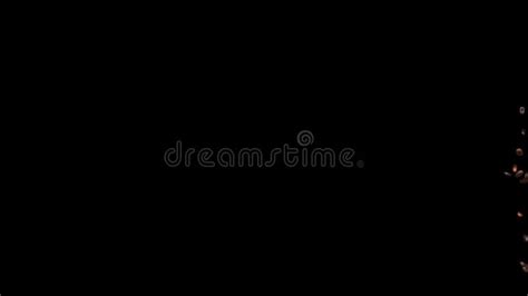 Coffee Bean Transition Animation Wipe From Left To Right Stock Video Video Of Splash Caffeine