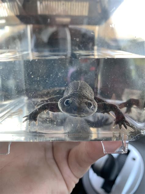 Ever See Something So Derpy And Cute That You Cant Live Without It