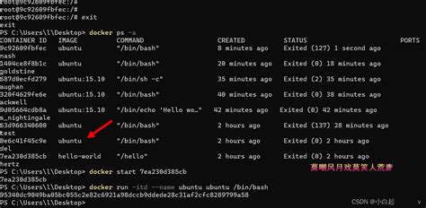 Docker学习强制删除容器 Csdn博客