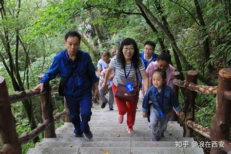 陕菜探秘之旅仙游木王国家森林公园景区直播品鉴木王春秋宴 知乎