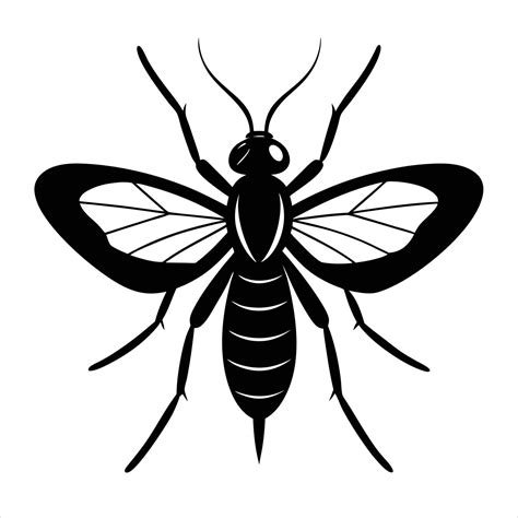 Sandfly Silhouette With White Background 54788394 Vector Art At Vecteezy