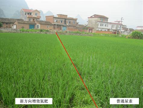 新方向增效氮肥pk传统尿素行业聚焦191农资人 农技社区服务平台
