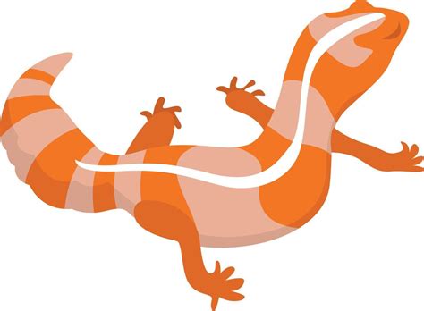Orange Lizard Illustration Vector On White Background 13562237 Vector