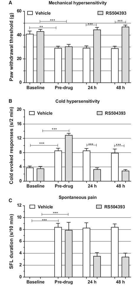 Effects Of Blocking Mcp 1 Ccr2 Signalling With S504393 The Selective