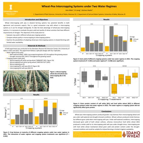 Pdf Wheat Pea Intercropping Systems Under Two Water Regimes