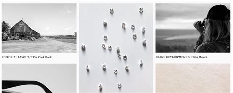 Seeking Css Custom Code For Image Gallery Upon Cursor Hover Overlay