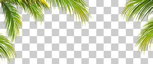 Leaf Texture Mapping Tree PNG Clipart 3d Computer Graphics Blender