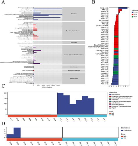 Affecting T Cell Subsets By Modulating Skin Surface Flora DDDT