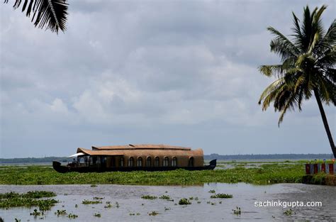 Morning Walk To Kumarakom Bird Sanctuary And Boat Trip To Lake Vembanad