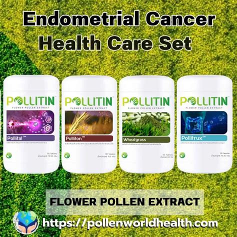 Endometrial Cancer Health Care Set Pollenworldhealth
