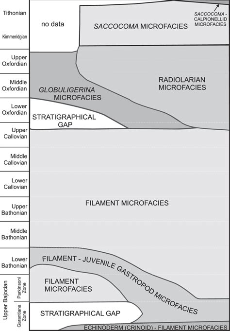 Fig A50 Microfacies Distribution In Late Middle Late Jurassic Download Scientific Diagram