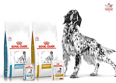 Royal Canin Veterinary Gastrointestinal Low Fat Dry Dog Food Vets