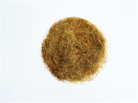 Model Scene Grass Flock 65 Mm Late Summer 250g 006 54 Access Models