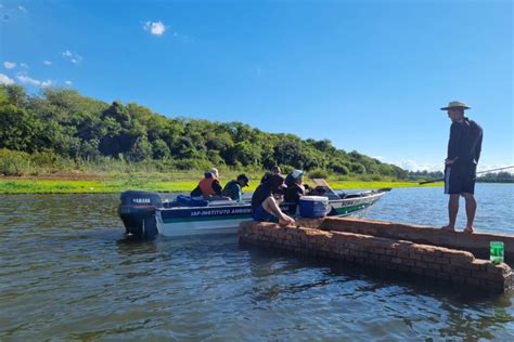 Começa no Paraná o período de defeso da Piracema CANAL 4MEIA