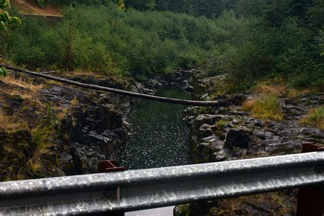 Local Leaders Tour Site Of Proposed Chehalis River Dam The Daily